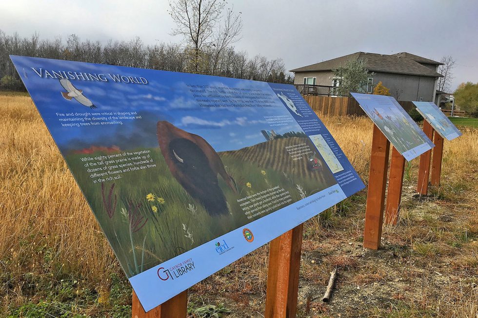 Second Nature Creative Interpretation